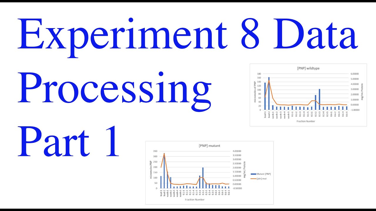 Experiment 8 Data Processing Part 1