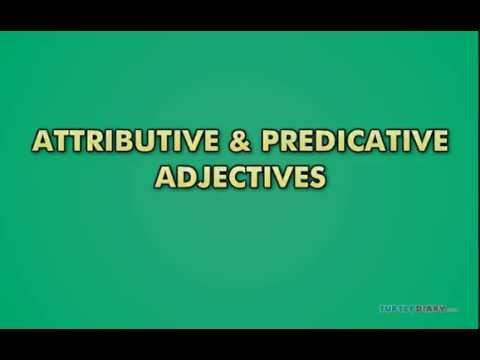 Attributive and Predicative Adjectives Video | eezeeenglishzone