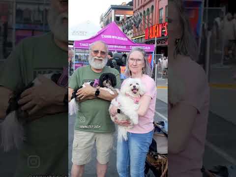 CMA Festival in Nashville Tn #cma #music #nashville #festival #fun #video #viral