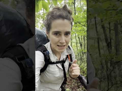 Day 65 of Hiking the Appalachian Trail! (Even though I say 64)