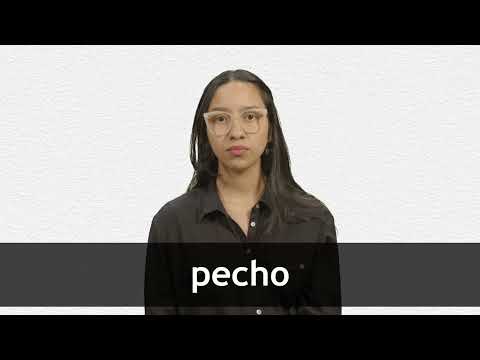 English Translation of “PECHO” | Collins Spanish-English Dictionary