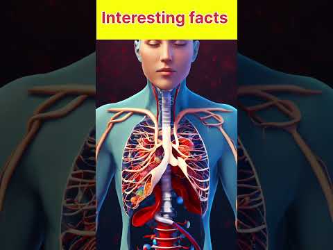 interesting facts//#facts //#shorts