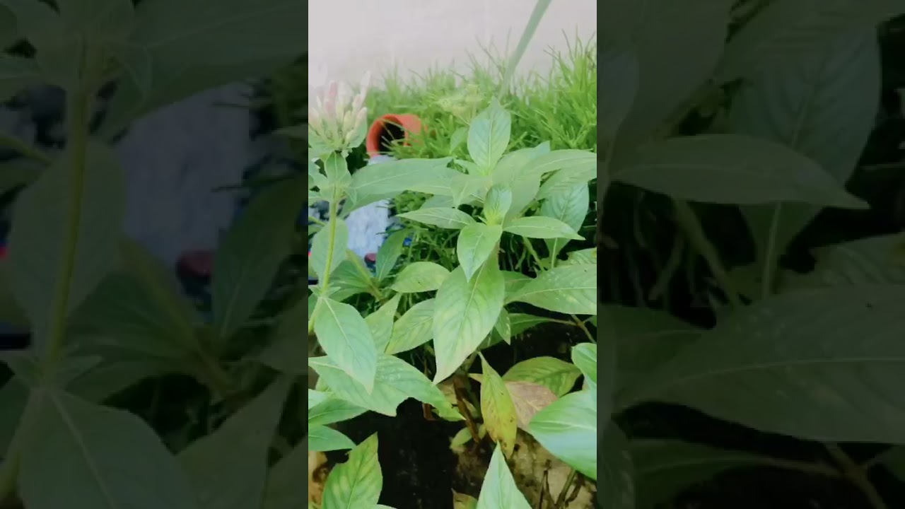 #waterfall | #Craft by pot | Emy zone