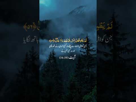Beautiful Verses of Quran..Surah Rehman.#deeplines #quranqoutes #foryou  #whatsappstatus #fypシ゚viral