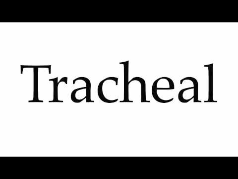 How to Pronounce Tracheal