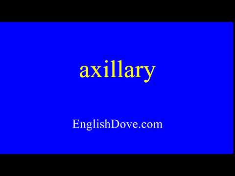 How to pronounce axillary in American English.