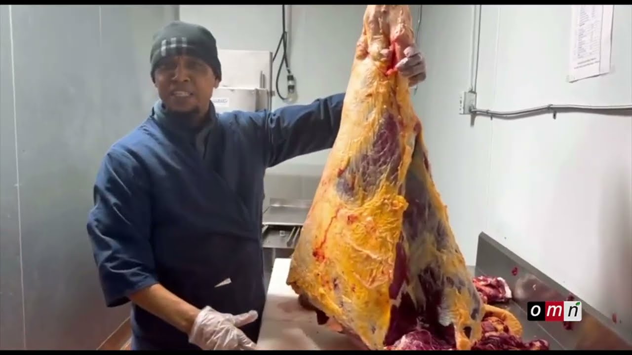 OMN: Oromo Biyya Ambaa Ebla 3, 2026