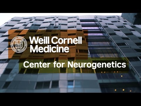 Center for Neurogenetics | Weill Cornell Medicine