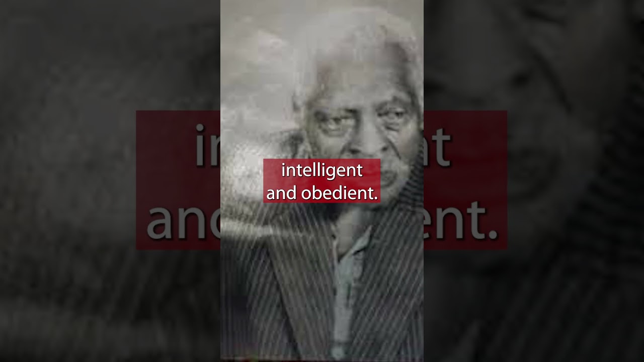 The  Breeding Slave with more than 200 Children!