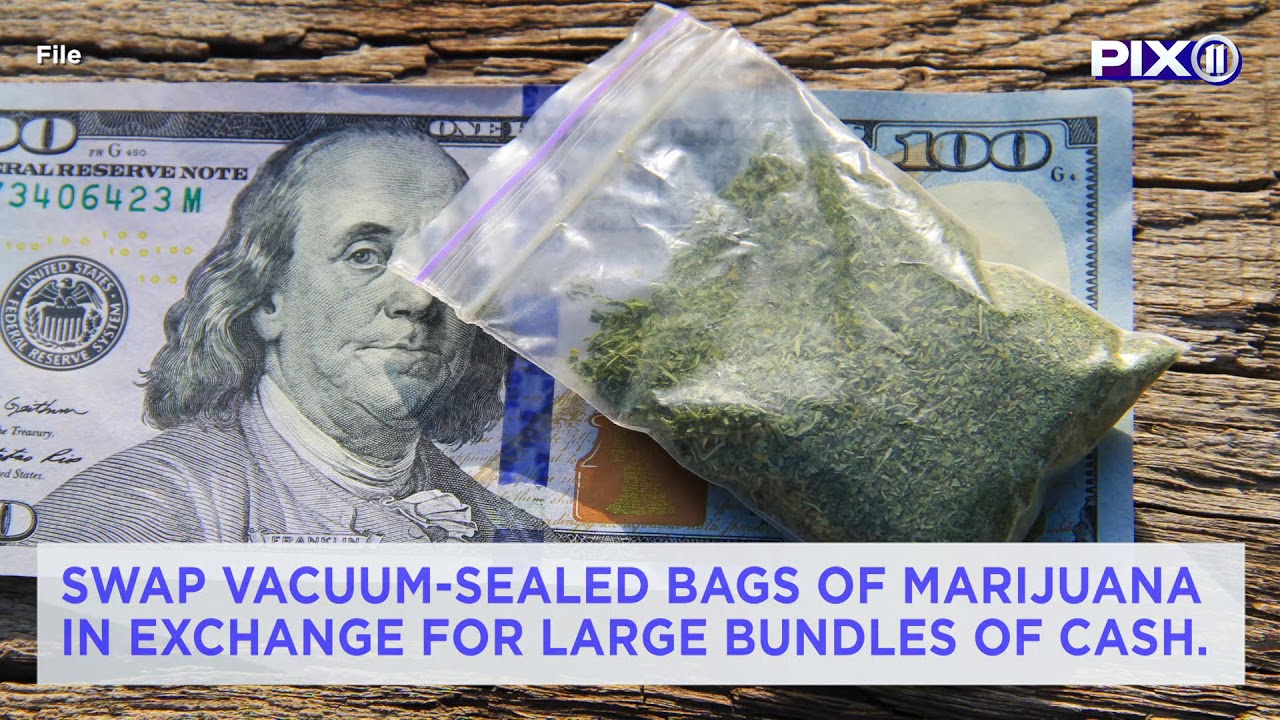 Nearly 200 pounds of marijuana seized in Queens drug bust