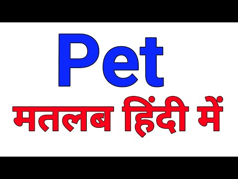 pet meaning in hindi | pet ka hindi meaning kya hota hai | pet ka hindi matlab kya hota hai