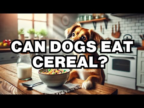 Can Dogs Eat Cereal? Explained
