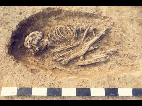 Japan’s oldest human fossils aren’t human at all, new study reveals