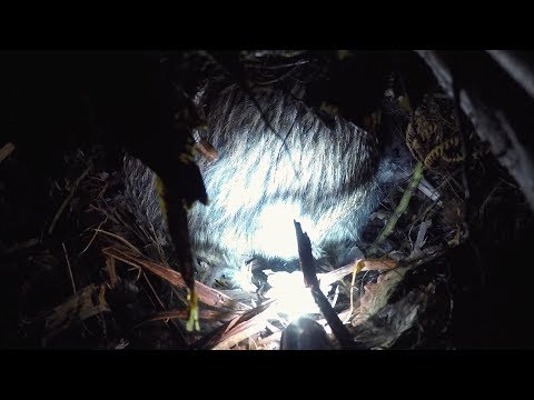Operation Nest Egg in action with keeper Nat