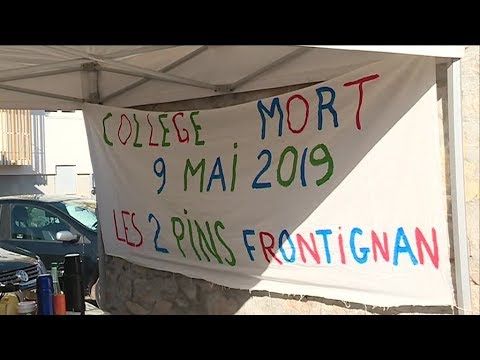 Hérault et Lozère mobilisés contre les réformes de l'Education