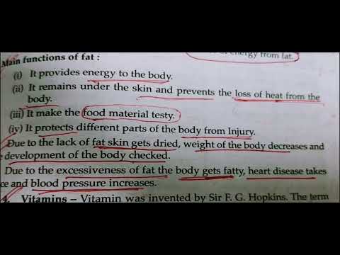 Main function of fat in the body