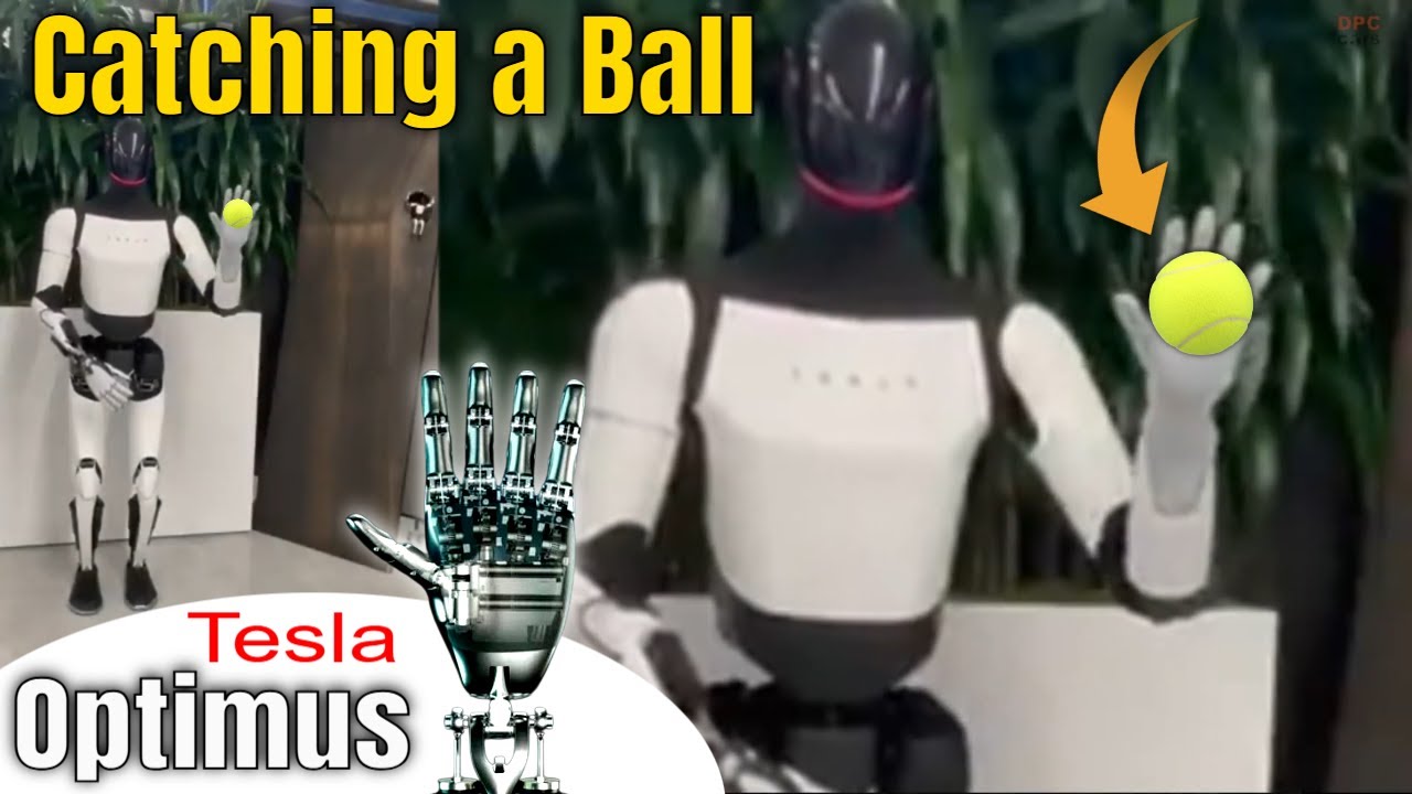 Tesla Optimus Robot Catching a Ball
