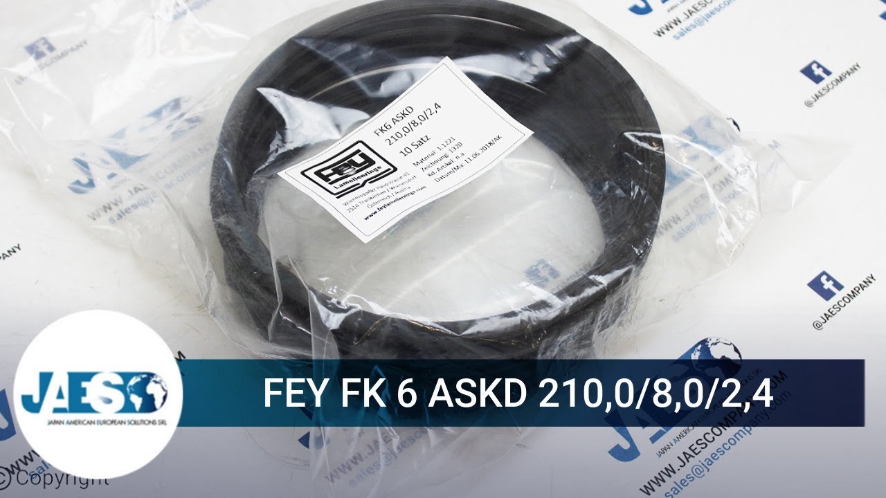 FEY FK 6 ASKD 210,0/8,0/2,4 - Laminar sealing rings - Anelli di tenuta lamillare