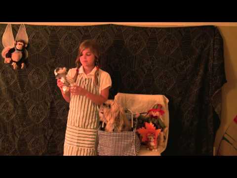 The Wonderful Wizard of Oz Book Report