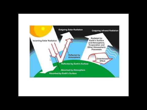 Human threats to biodiversity