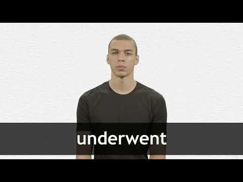 UNDERWENT definition and meaning | Collins English Dictionary