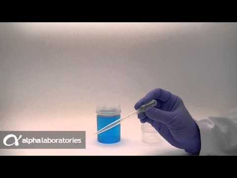 Graduated Pastette® | Plastic Transfer Pipette