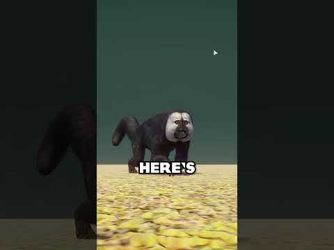 🌵 Americas Animal Pack OVERVIEW! | #shorts #planetzoo