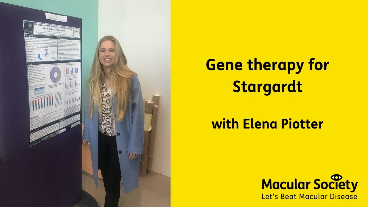 Gene therapy for Stargardt