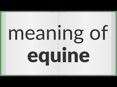 Equine | meaning of Equine
