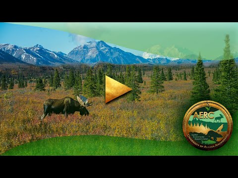University of Alaska Anchorage (UAA), Applied Environmental Research Center (AERC), Center Overview
