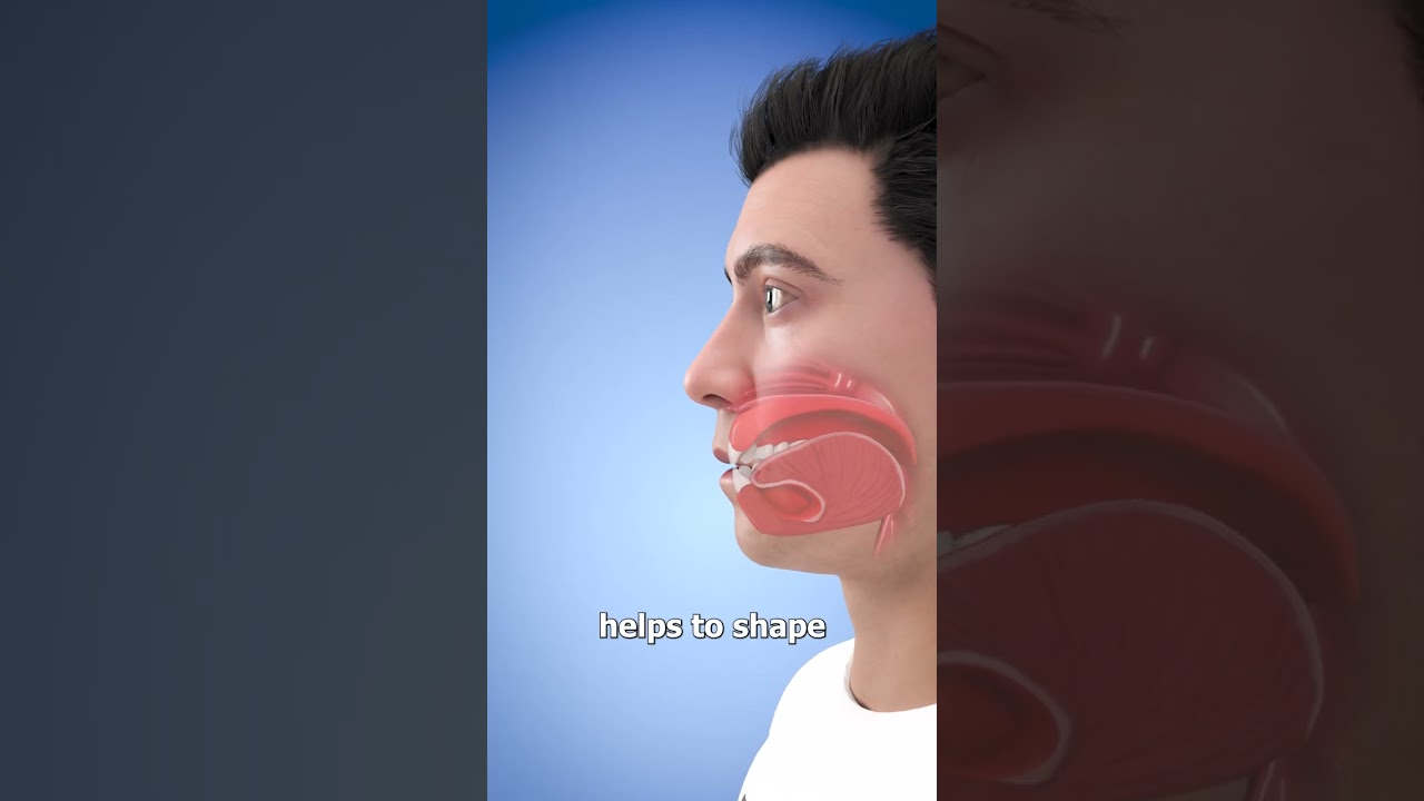 If You Lost Your Tongue 🤔