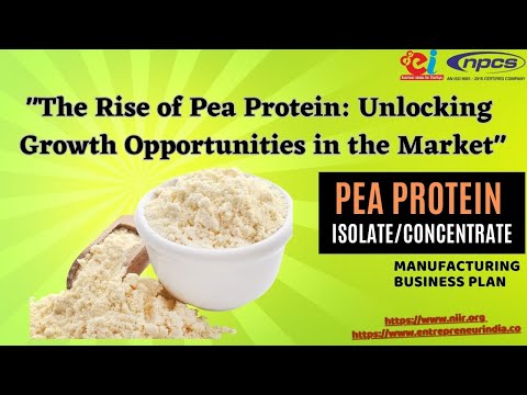 “Building Your Pea Protein Manufacturing Venture” | How to Setup Pea ...