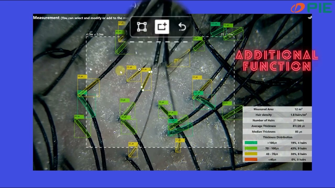 SIF Pro AI 자동 측정 기능 – 간단한 사용법
