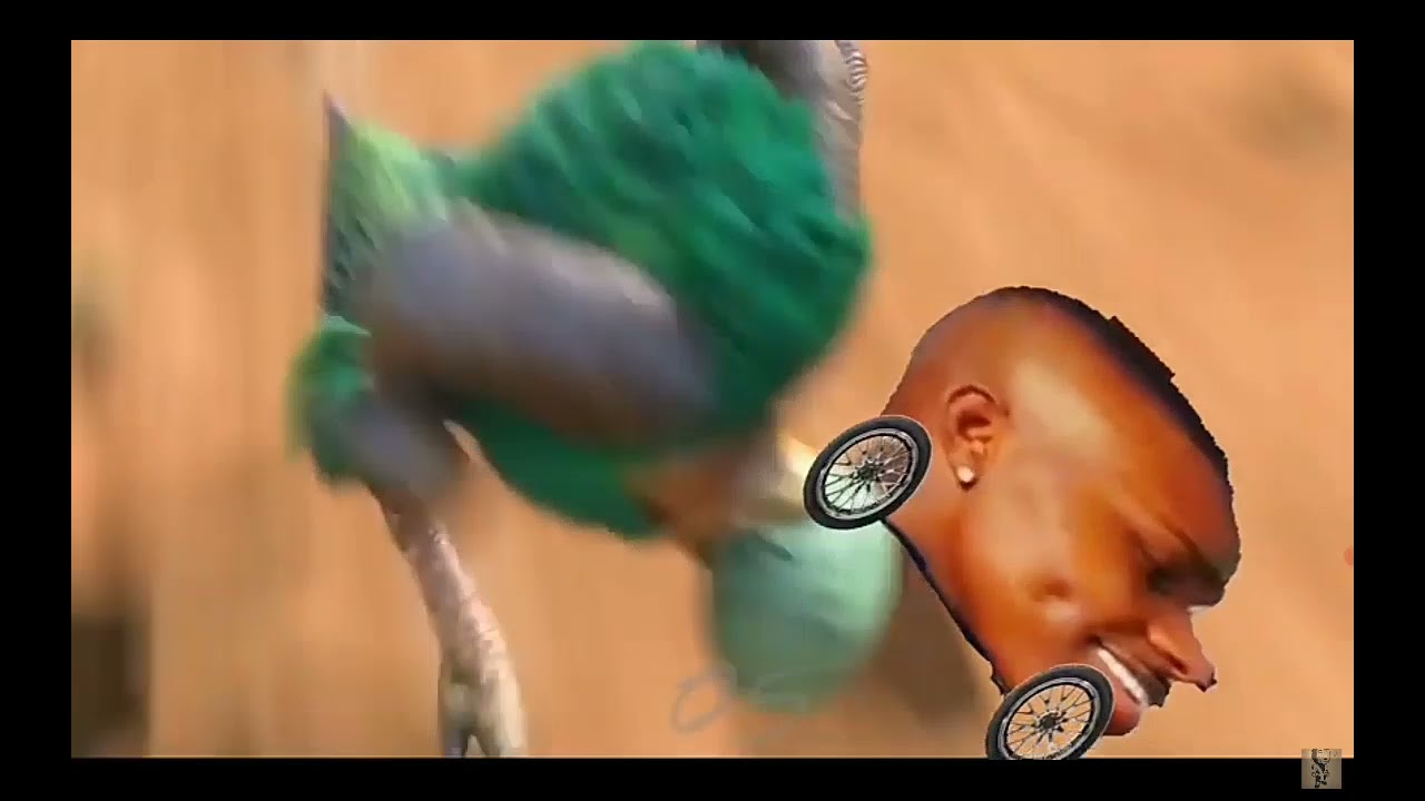 release dababy meme (extended version)