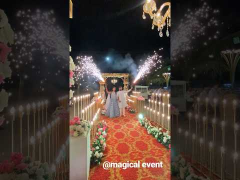 Pyro Gun - Pyro Party Gun Latest Price, Manufacturers & Suppliers