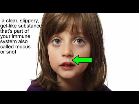 booger meaning | Vocabulary for Kids | Children's Dictionary | Learn English Vocabulary