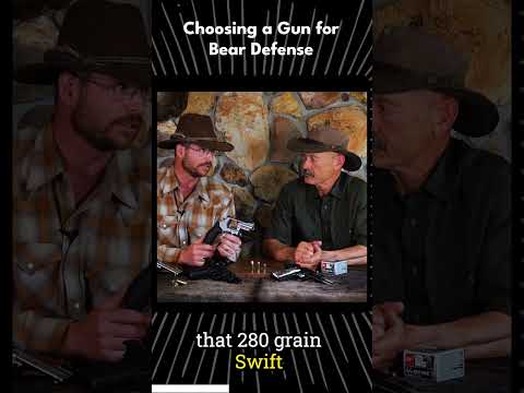 Best Handgun for Bear Defense