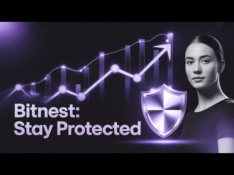 BitNest Investment Insurance Explained | Protect Your Crypto from Smart Contract Risks