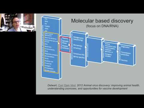 Linking Viral Discovery with Causality