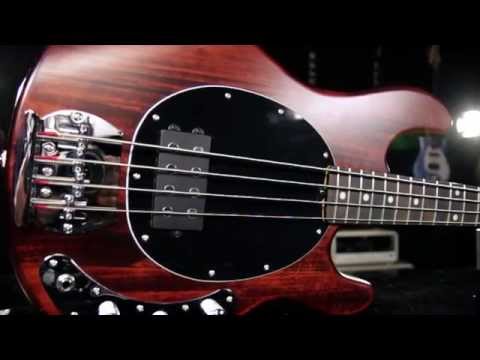 Sterling by Music Man - SUB Ray 4 Bass - Walnut | Reverb