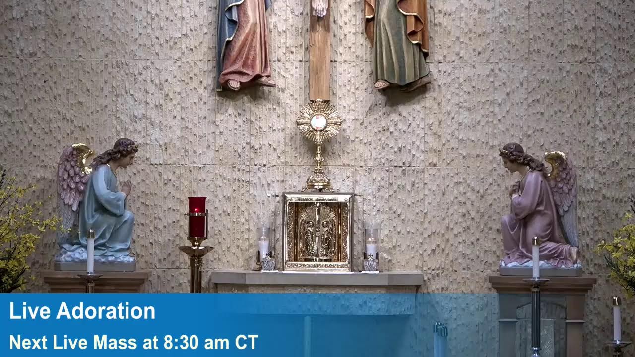 SJE-Greenfield Live Mass & Adoration