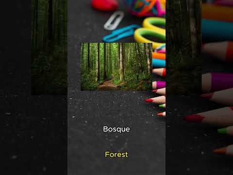 How to say forest in spanish (native pronunciation)