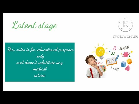 Latent Stage ||Stages of Psychosexual Development ||Sigmund Freud