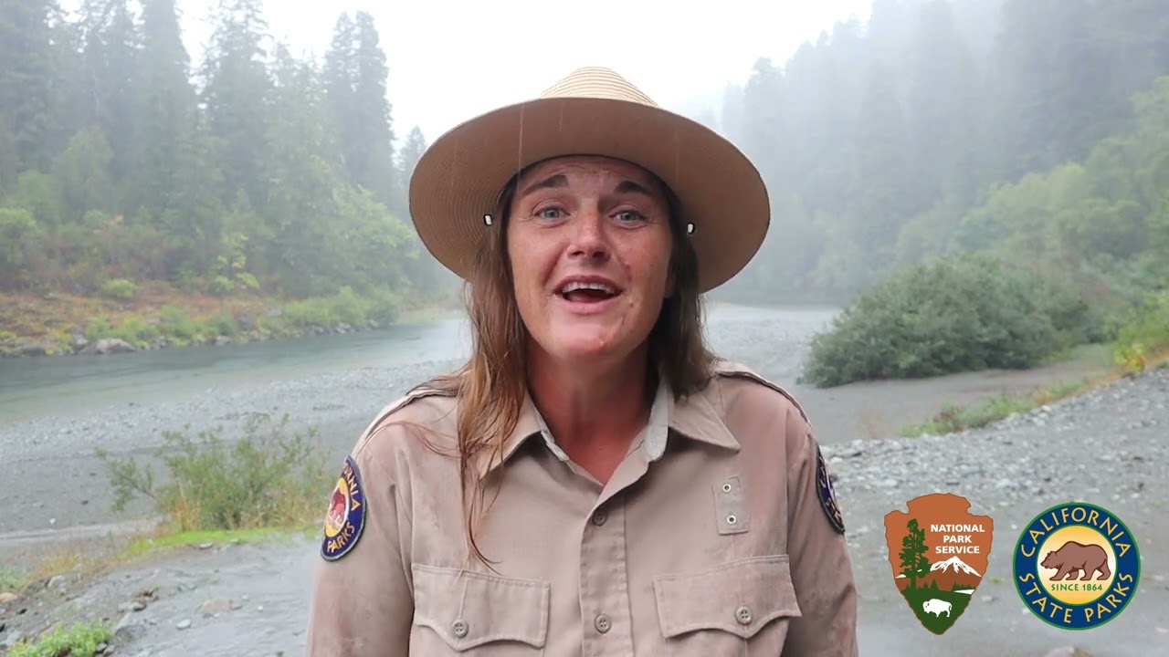 Welcome to Jedediah Smith Redwoods State Park