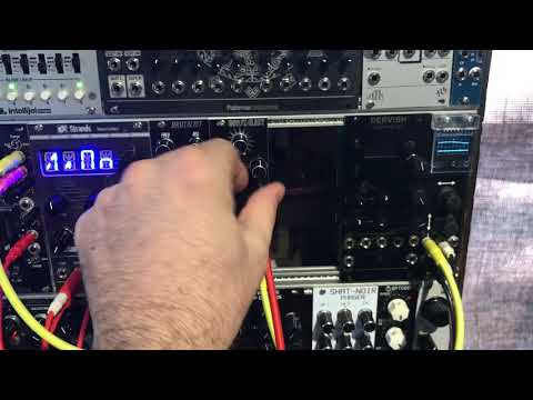 Void Modular Brutalist V2 | Reverb