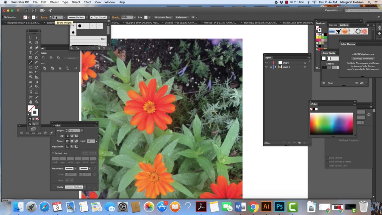 Botanical Illustration with the Pencil Tool