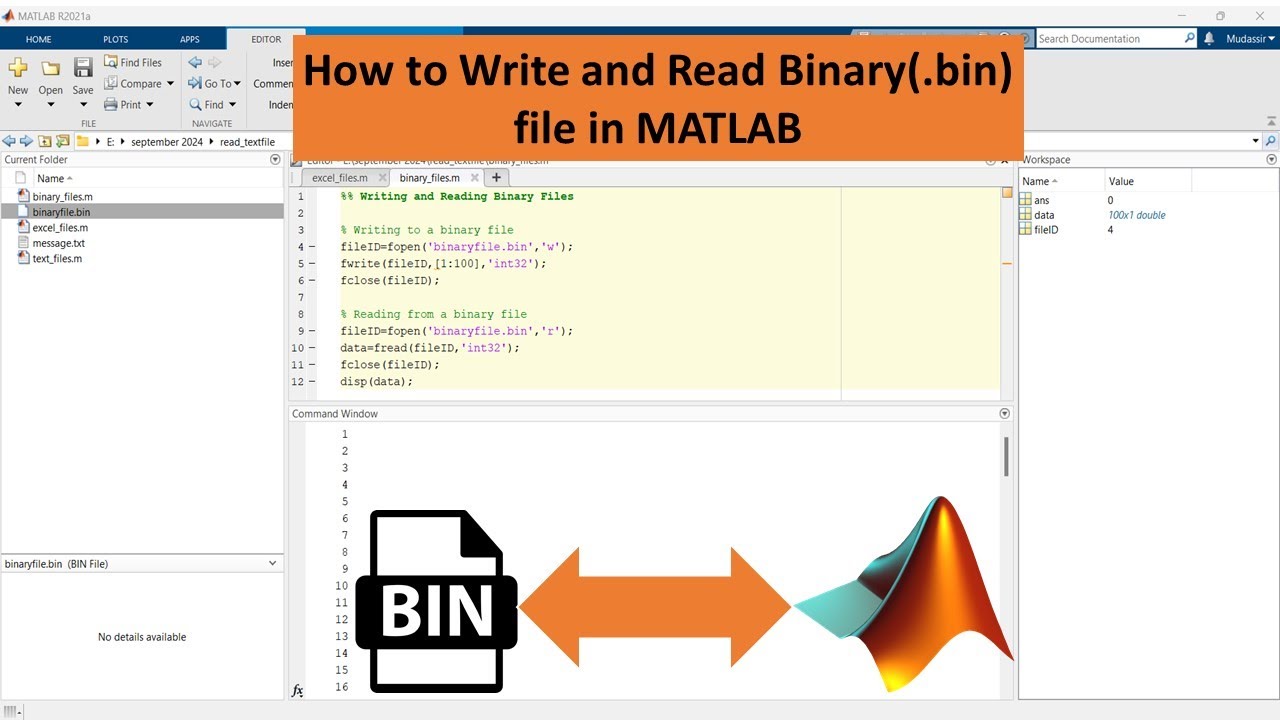 How to Write and Read Binary(.bin) file in MATLAB || binary file in MATLAB