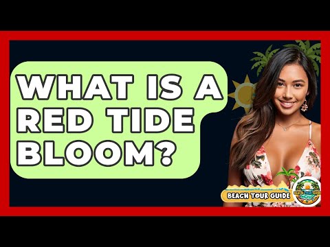 What Is A Red Tide Bloom? - Beach Tour Guide