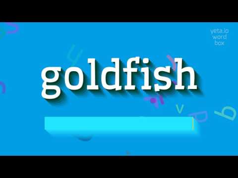 How to say "goldfish"! (High Quality Voices)