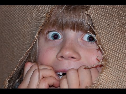 cockroach vs waterbug | How to tell the difference between a waterbug and a cockroach